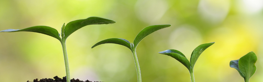 Resources - Good To Grow | Food Industry Experts